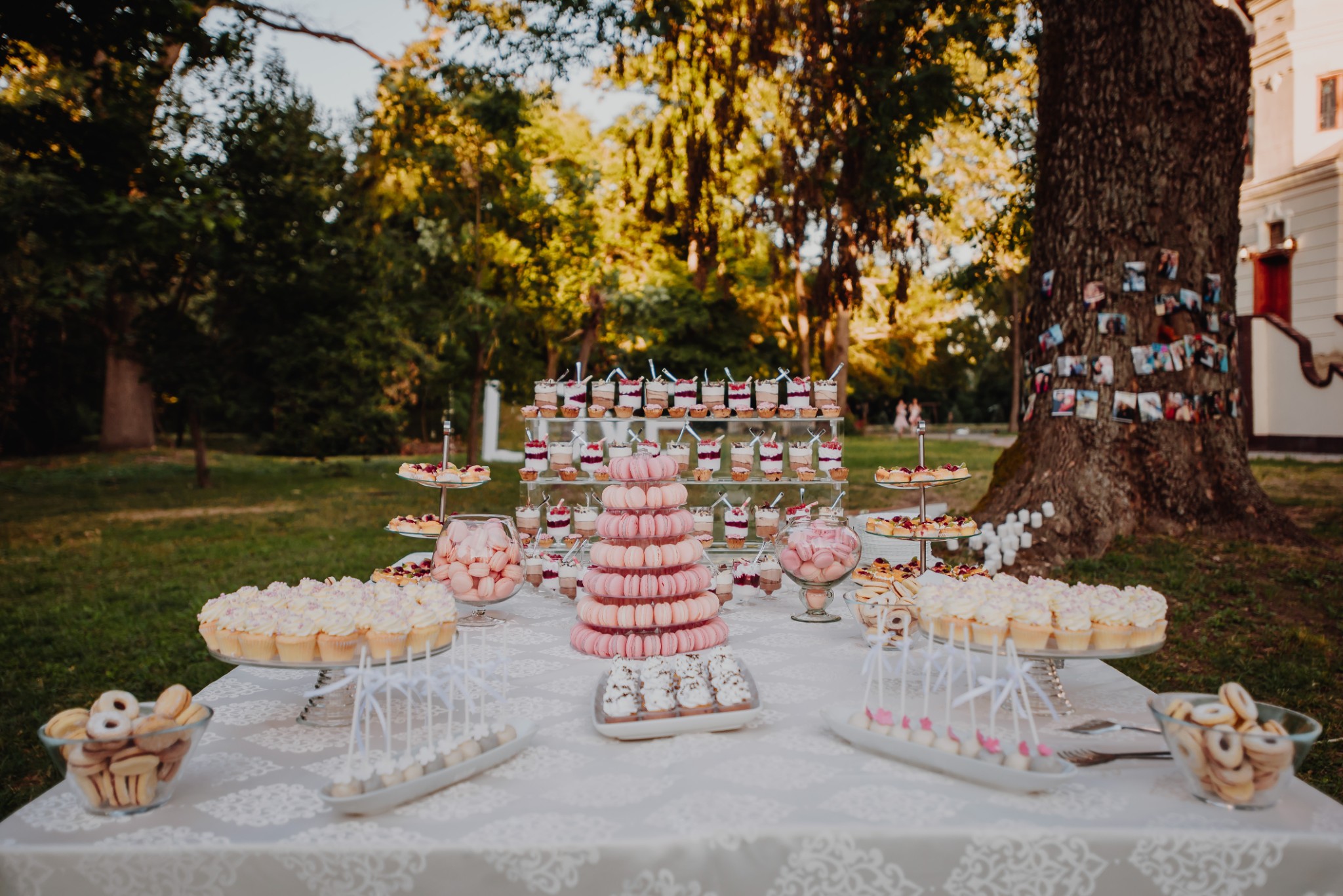 Nunta rustica de basm intr-o poenita de castel la Domeniul Lupas